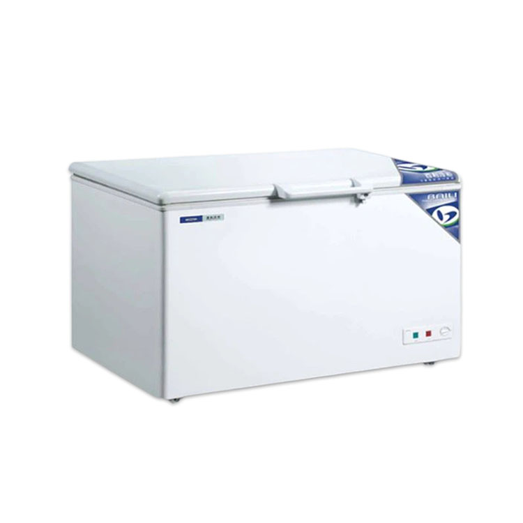 Chest Freezer 420L - Ice City